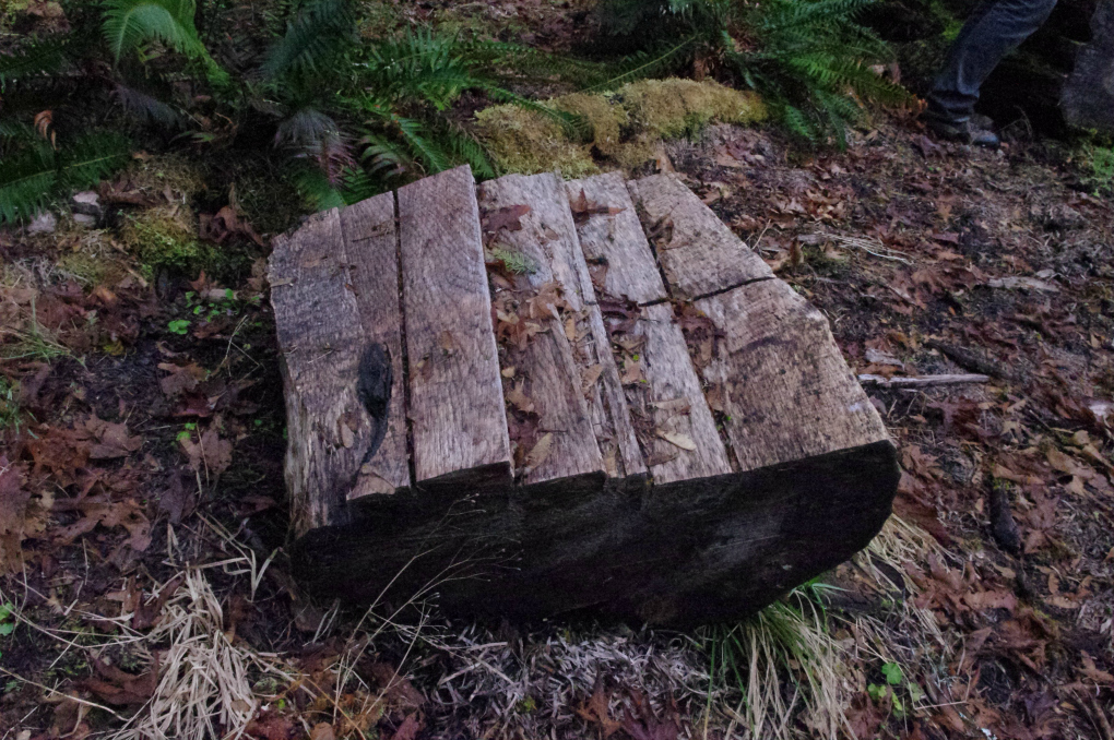 Photo 1 - Double Helix Tracking Technologies - Environmental News