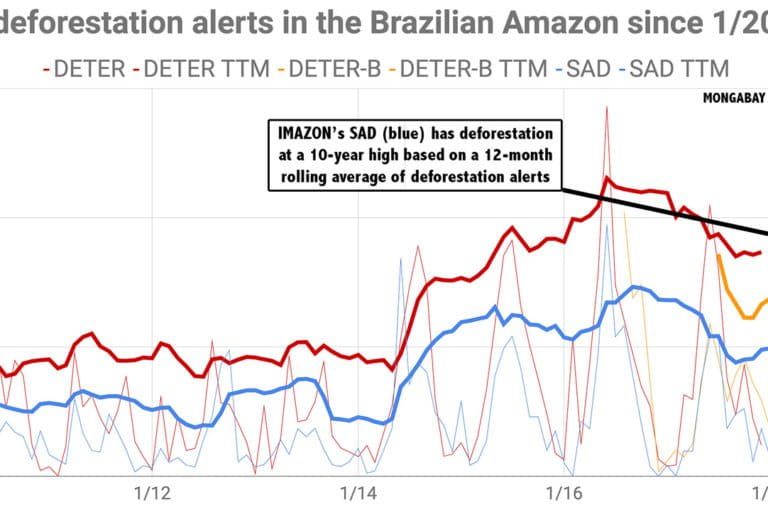 Amazon deforestation at highest level in 10 years, says Brazil