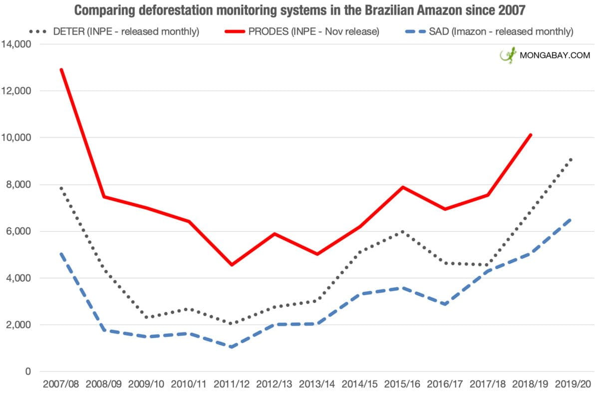 What's the current deforestation rate in the Amazon rainforest? What's ...