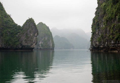 The Cat Ba Langur: a primate walks the razor’s edge of extinction