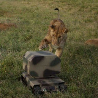 Send in the droid for a closer look at wildlife