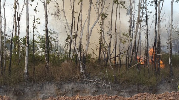 Indonesia breathes easier for now as haze recedes and rain falls