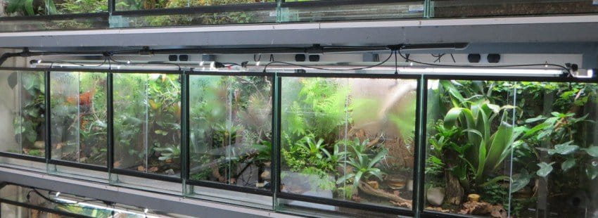 The inadequate global zoo response to the amphibian extinction crisis