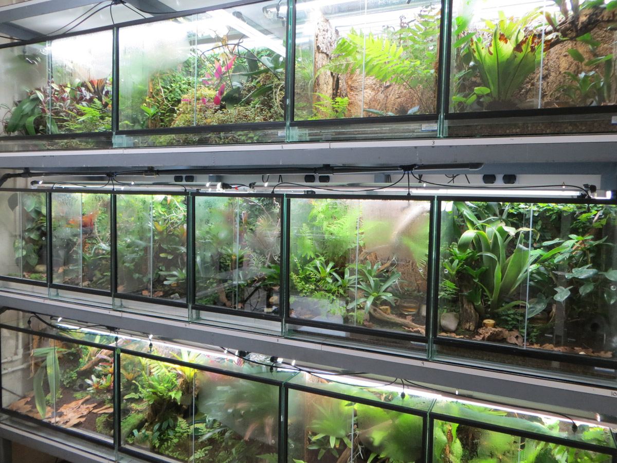 John-Rob Pool Archives