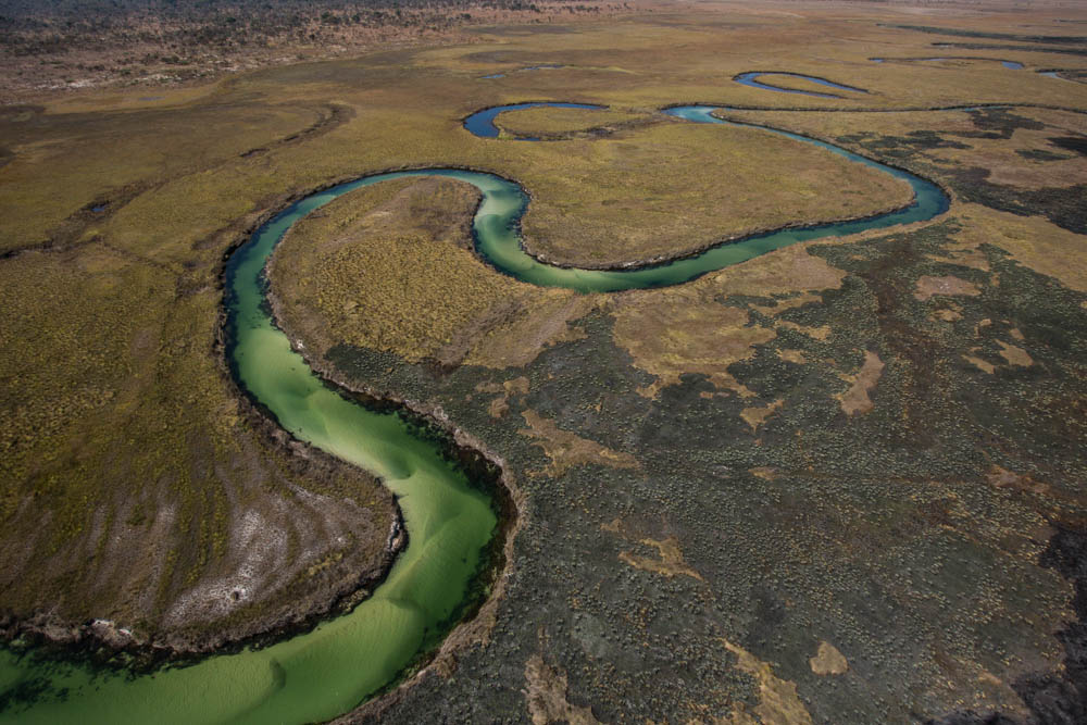 Measuring the Heartbeat of the Delta