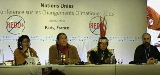 Some Indigenous groups wary of REDD+ following Paris Climate Agreement