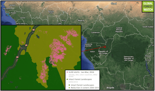 Massive wildfire rips through Congo rainforest – is logging to blame?