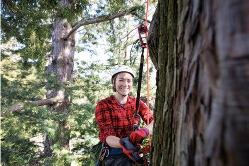 For Earth Day: climbing a redwood tree
