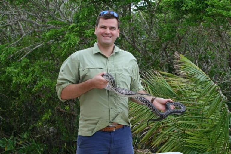 New boa species “on its way to extinction” discovered in the Bahamas