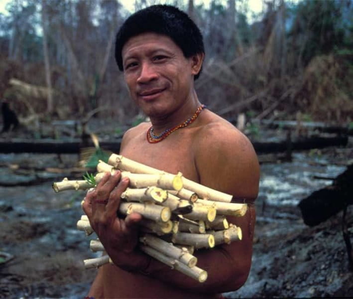 Arara Indians in Brazilian Amazon finally given right to their land