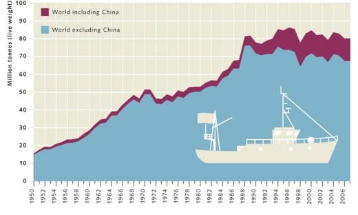 The dark side of China's foreign fishing boom
