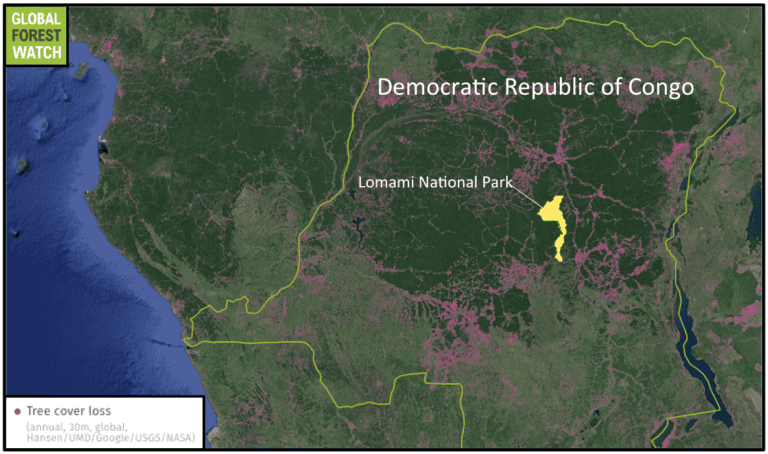 DRC declares first new national park in 40 years