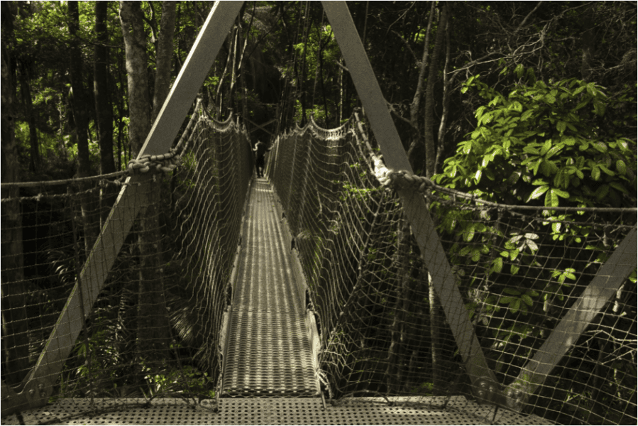 Can public-private partnerships preserve the dwindling biodiversity of ...