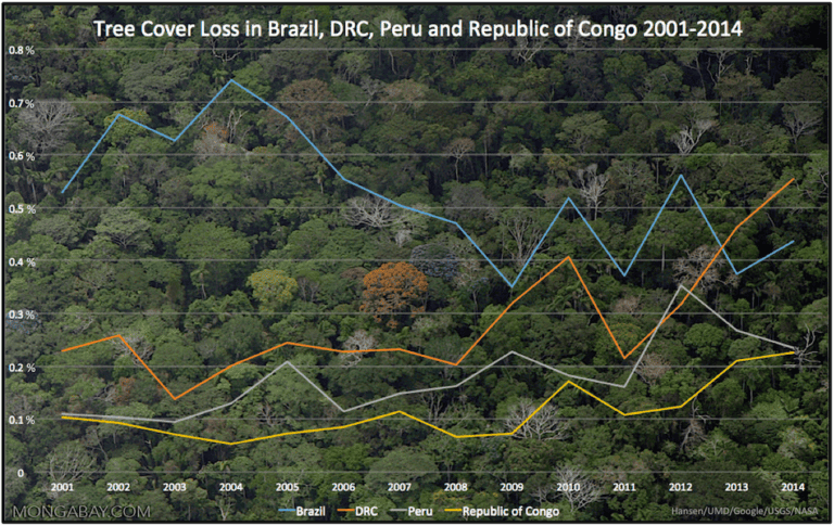 Deforestation: a lingering legacy
