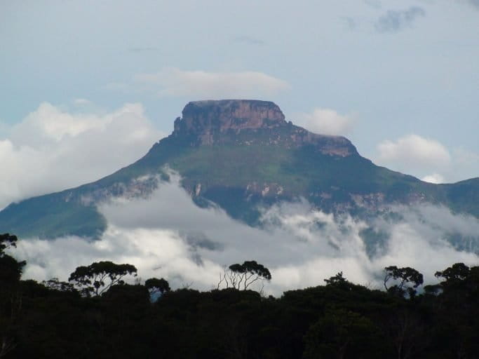 Thirst for coltan, gold threatens Venezuelan forests, indigenous lands