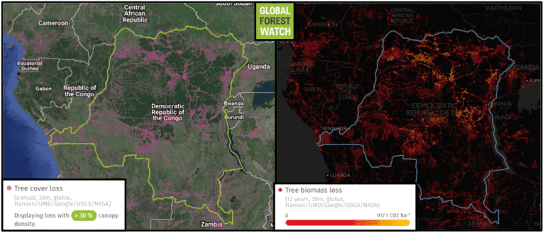 Efforts to stop deforestation in DRC may be misplaced, study finds