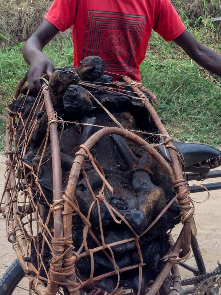 Hunted to the brink: Mammals in crisis