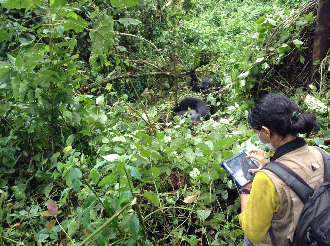 From paper to tablet: A new way to record animal behavior