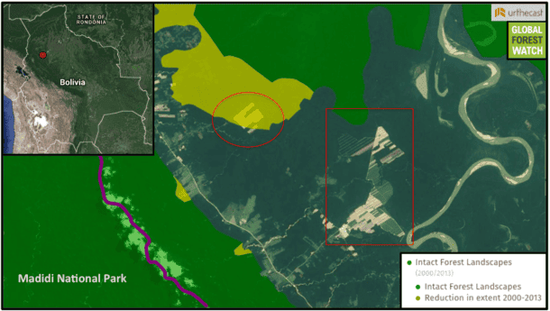 Exclusive: Rainforest rapidly cleared for sugarcane in Bolivia