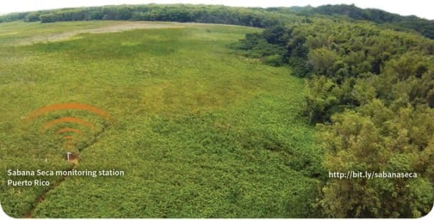 Acoustic monitoring: mapping ecosystems by animal calls