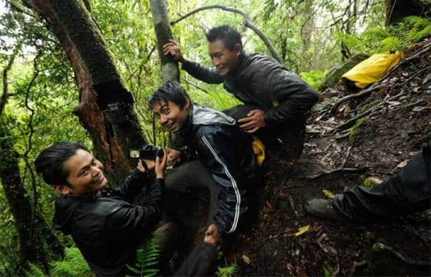 The Myanmar snub-nosed monkey: discovered and immediately endangered
