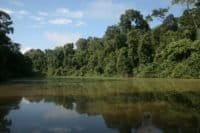 Peru's Manu National Park declared world's top biodiversity hotspot