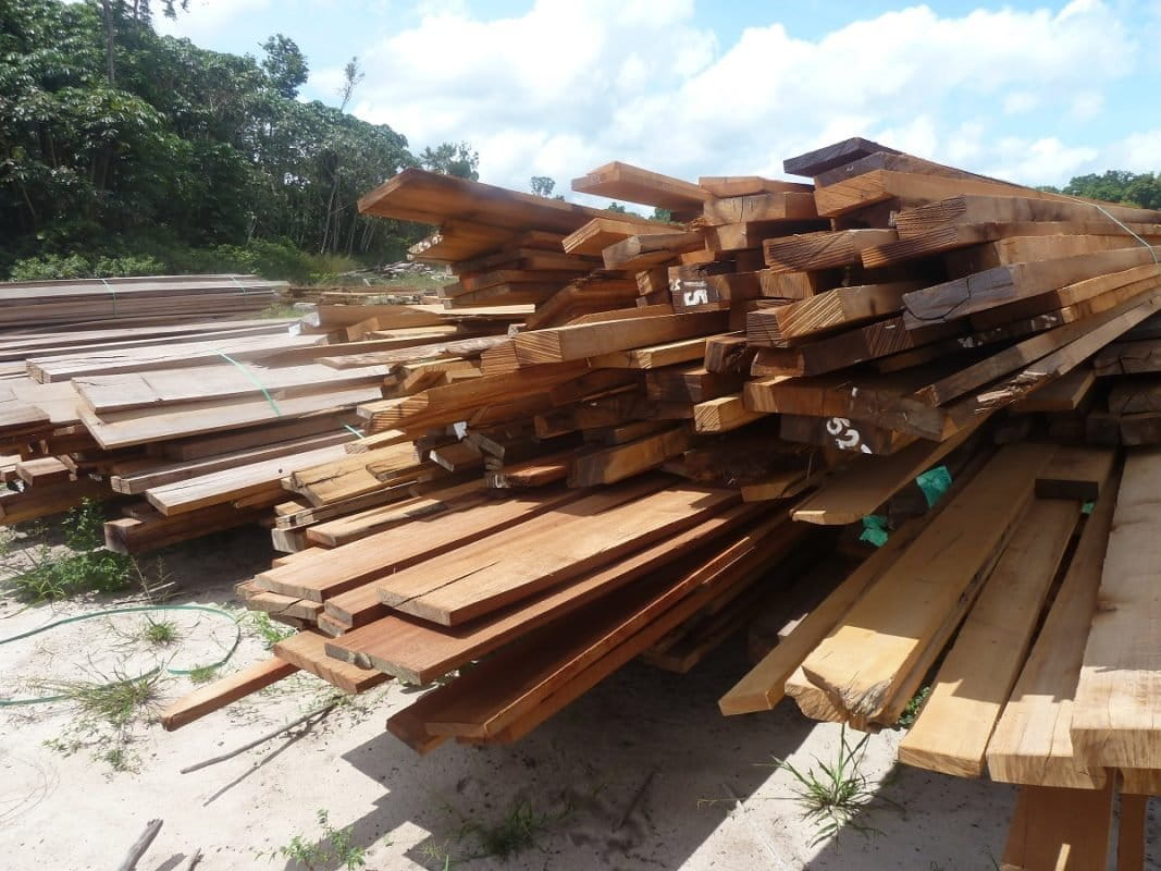 Conservation news on Forests and Guyana