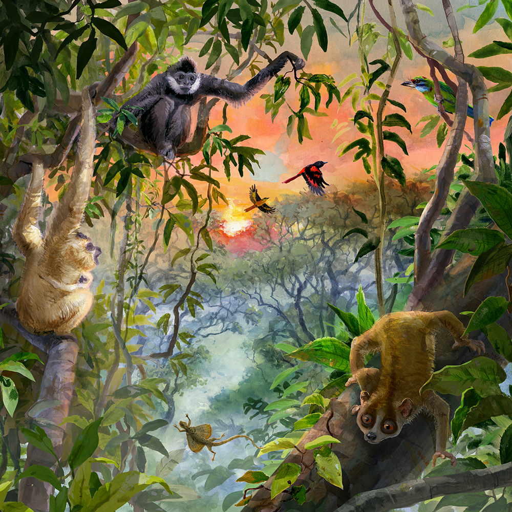 Explore the "Wonders of the Annamites" in this new children’s book