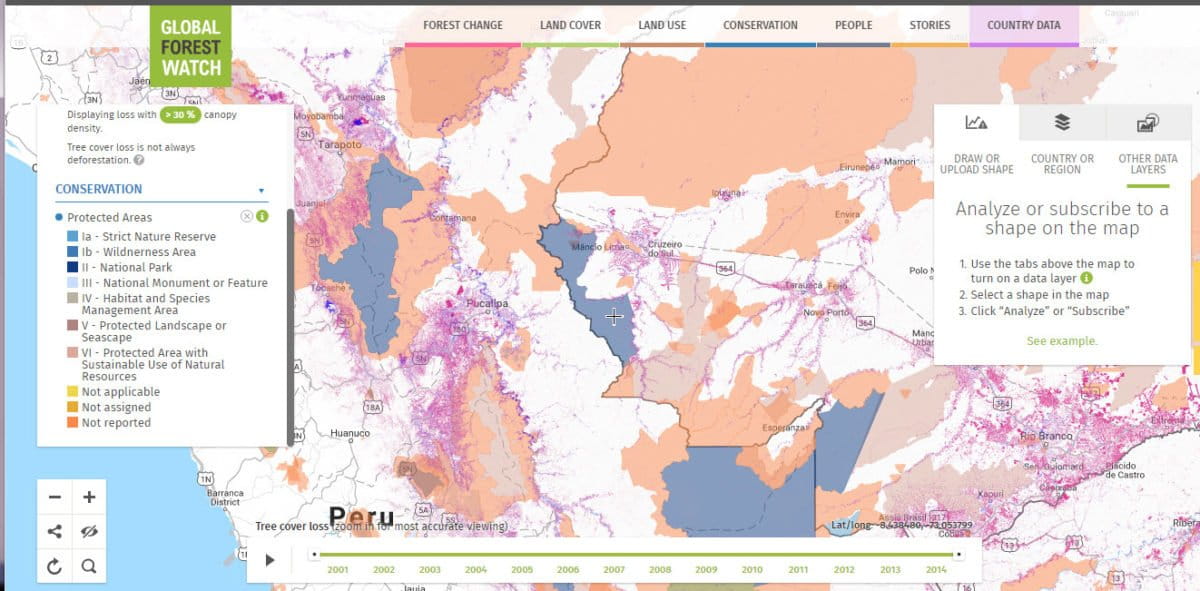 Free online analysis of forest change
