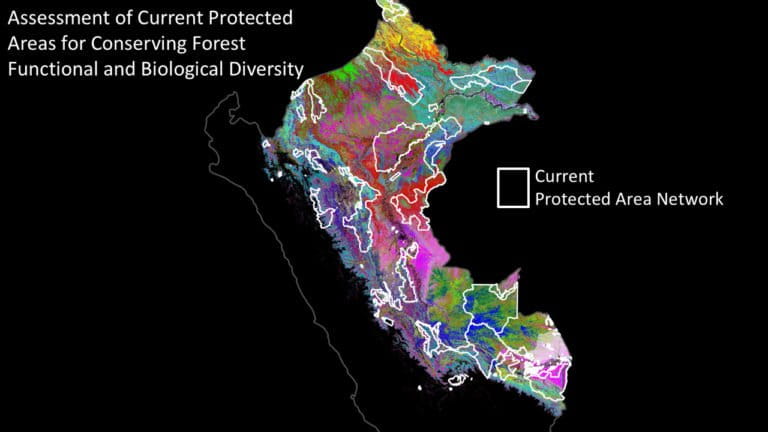 ‘Revolutionary’ new biodiversity maps reveal big gaps in conservation
