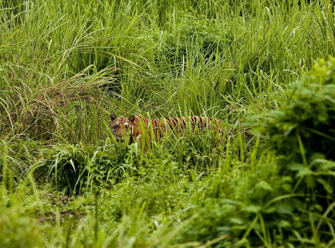 Meet one of the filmmakers behind Planet Earth 2