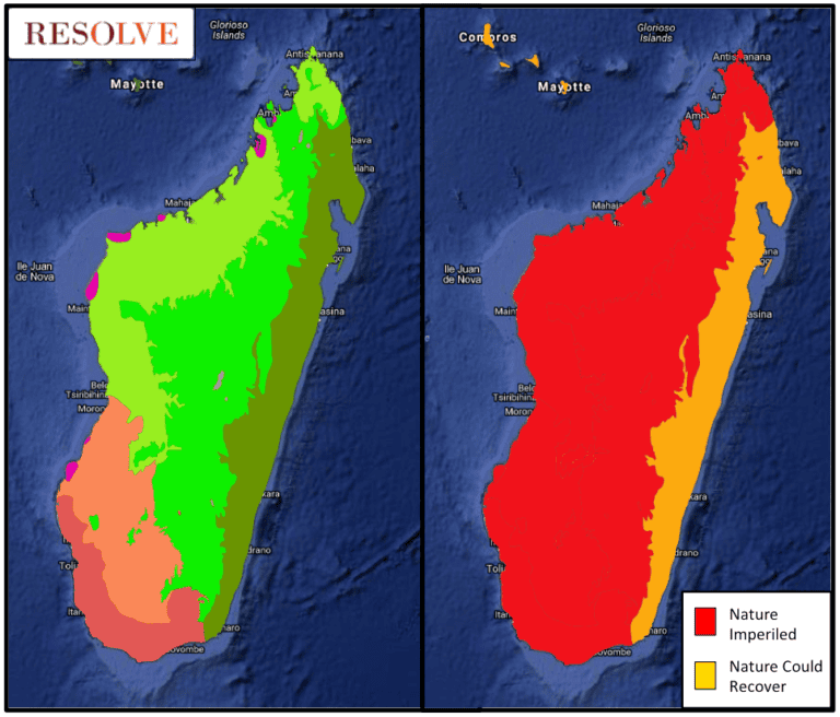 'We can save life on Earth': study reveals how to stop mass extinction
