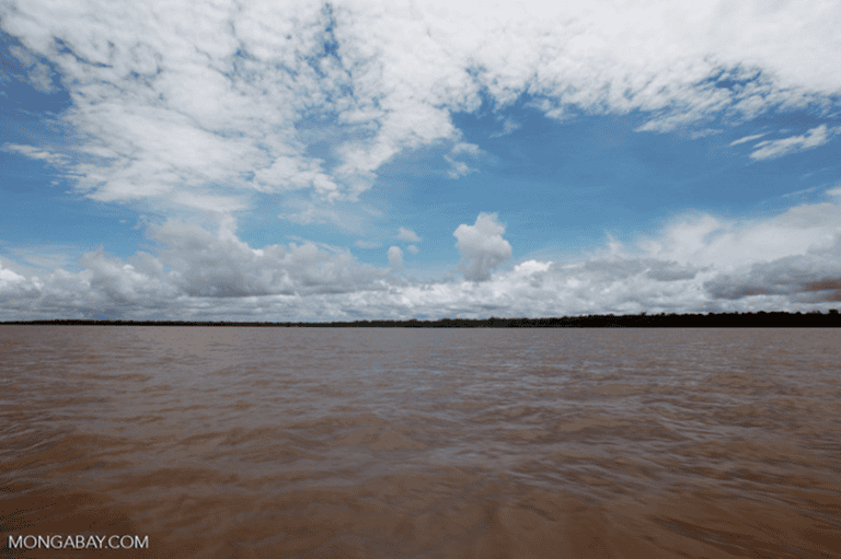 Murky future for freshwater fish in the Amazon floodplains