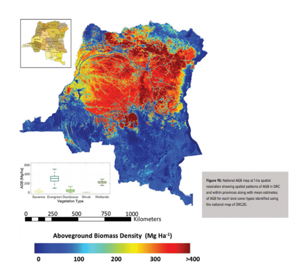 New carbon map will help protect the DRC’s rainforests