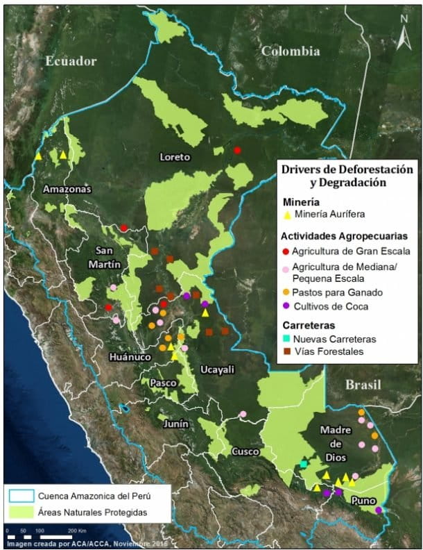 Peru lost more than 1 million hectares of Amazon forest over a period ...