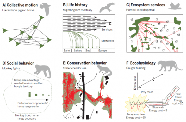 Location, location, location goes high-tech: Facts and FAQs about ...