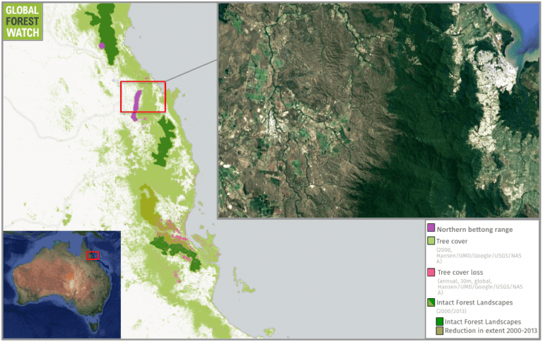Thylacine survey: Are we going to rediscover the 'moonlight tiger'?