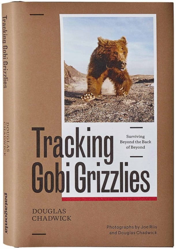 ‘Tracking Gobi Grizzlies:’ Book excerpt and Q&A with Douglas Chadwick ...