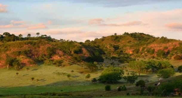 Intact forests crucial to Amazon ecosystem resilience, stable climate