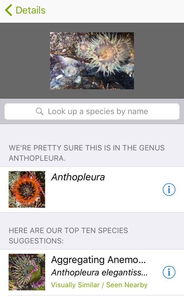 App combines computer vision and crowdsourcing to explore Earth’s ...