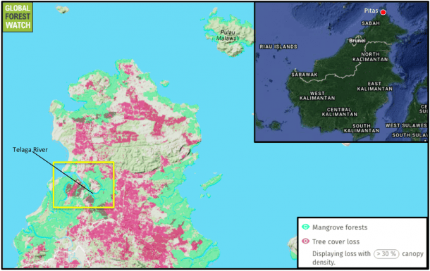 Communities struggle to save Sabah’s shrinking mangroves