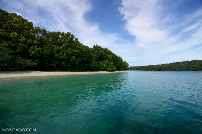 Can the Javan rhino be saved before disaster strikes?