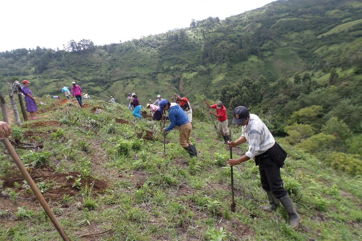 Series: Conservation Effectiveness