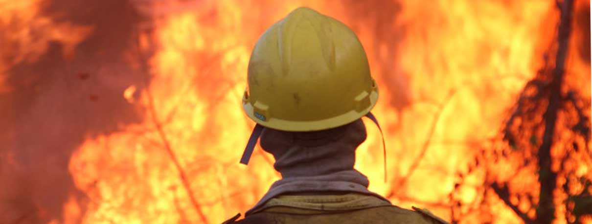 Record Amazon fires stun scientists; sign of sick, degraded forests