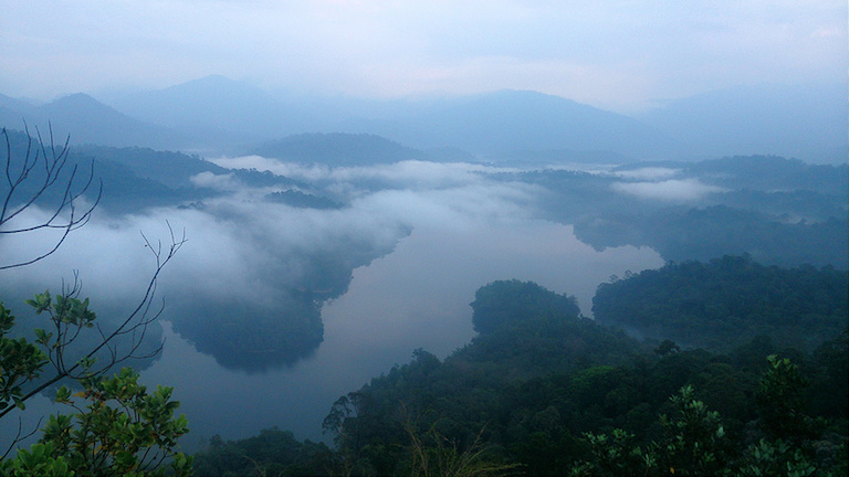 Road building threatens forests, water supplies in Kuala Lumpur area
