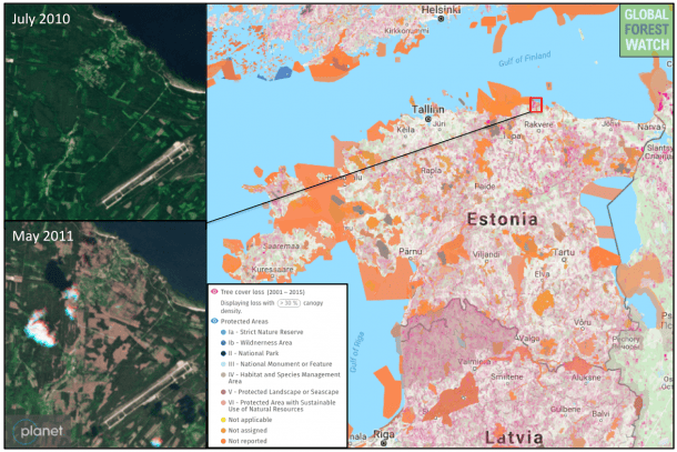Estonia’s trees: Valued resource or squandered second chance?