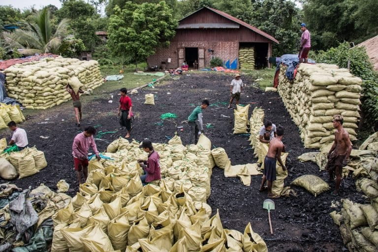 Burning Down the House: Myanmar’s Destructive Charcoal Trade - resilience
