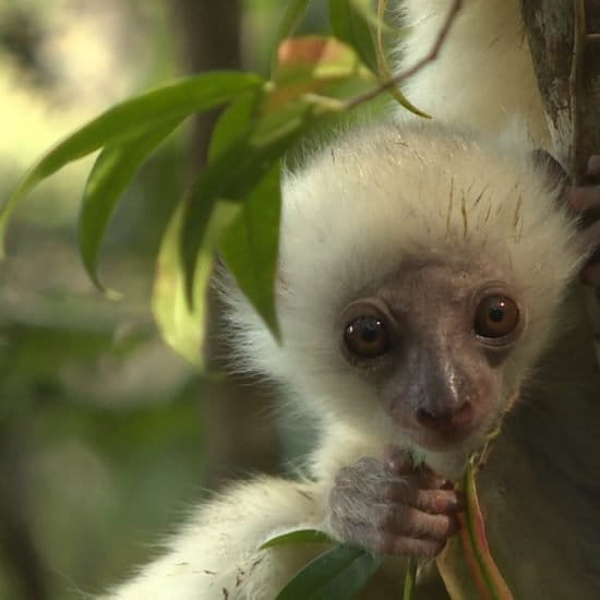 Dan Ashby and Lucy Taylor Archives - Conservation news