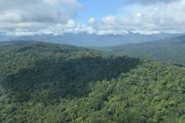 Papua New Guinea gets its largest-ever conservation area