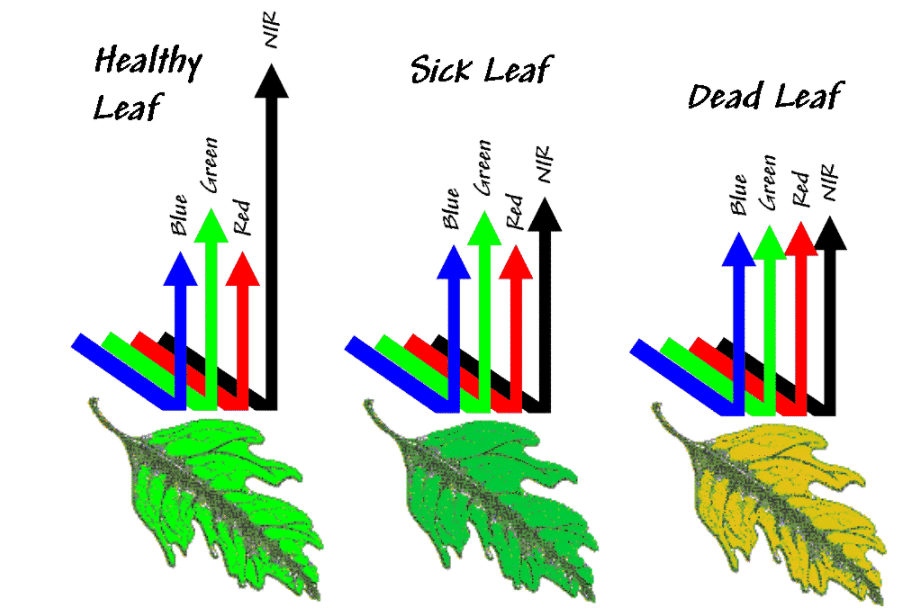 Data fusion opens new horizons for remote imaging of landscapes
